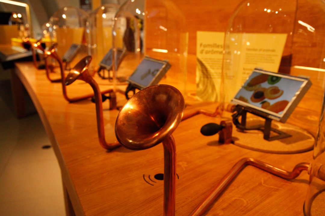 An diesen Trichtern lassen sich verschiedene Aromen riechen. - Michael ...